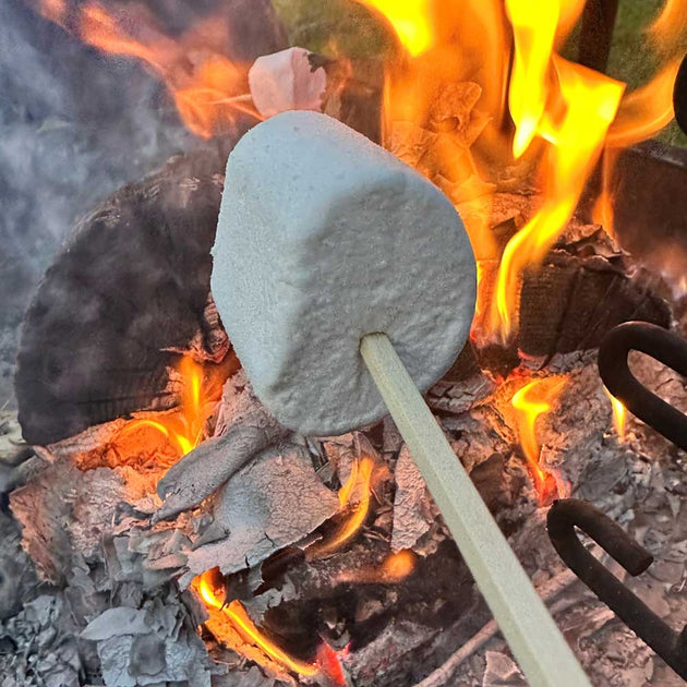 Camping – ArcticQuest